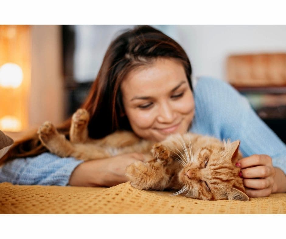 ¿CUÁNTO TIEMPO HAY QUE JUGAR CON UN GATO? - SEGURVI